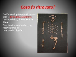 L’australopiteco lucy | PPTX