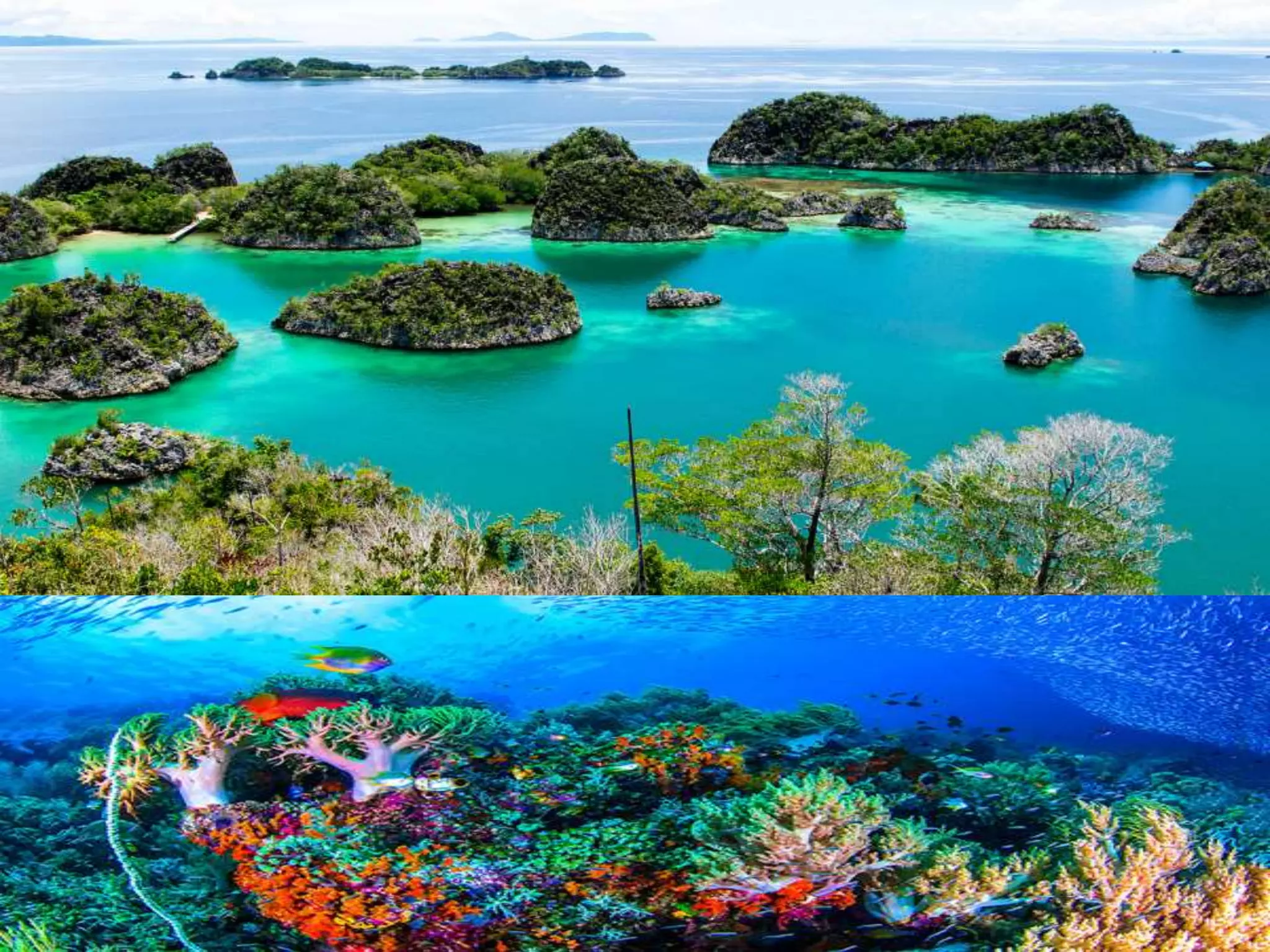 Laut Indonesia by Anisa Mulyani ppt | PPT