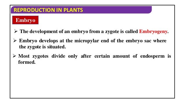 Sexual reproduction in flowering plants | PPT