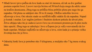 Lav | PPTX