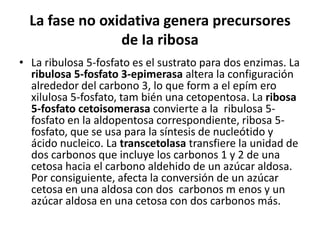 La vía de la pentosa fosfato | PPTX