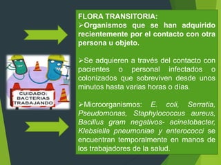 Lavado de manos. ppt | PPTX