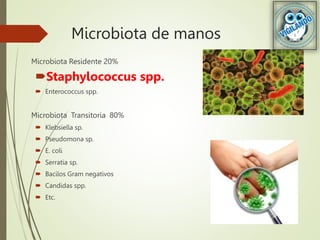 Lavado de manos.pptx