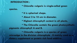 Chlorella introduction , Cultivation and applications | PDF
