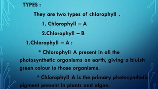 Chlorella introduction , Cultivation and applications | PDF