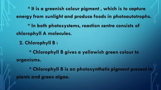 Chlorella introduction , Cultivation and applications | PDF