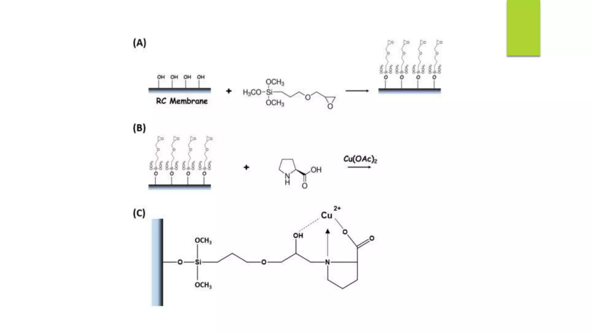 POLYMERS IN CHIRAL SEPARATION | PPTX