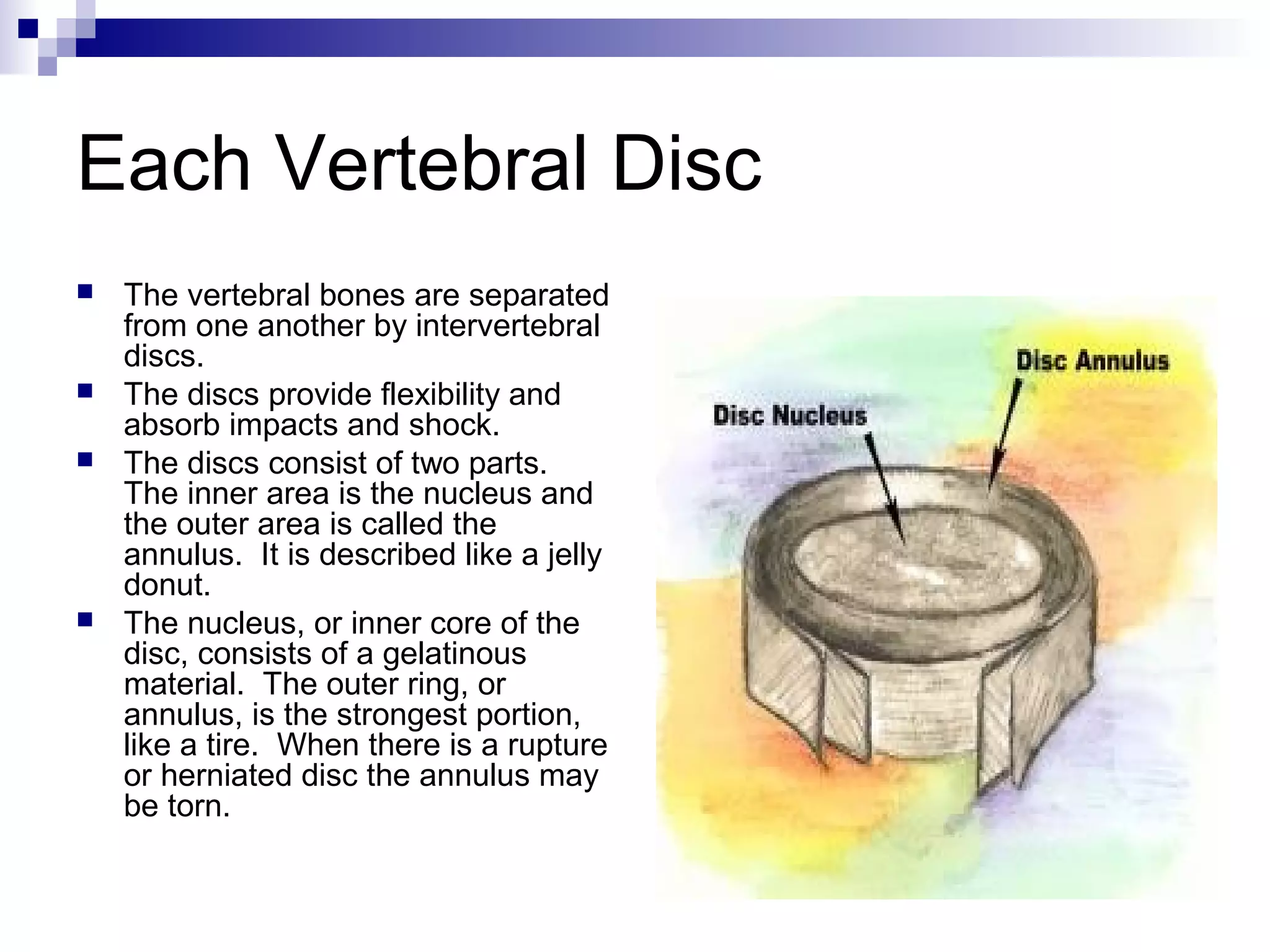 Lavc Health 12 First Aid Muscles Bones Joints Injuries Spring 2007 | PPT