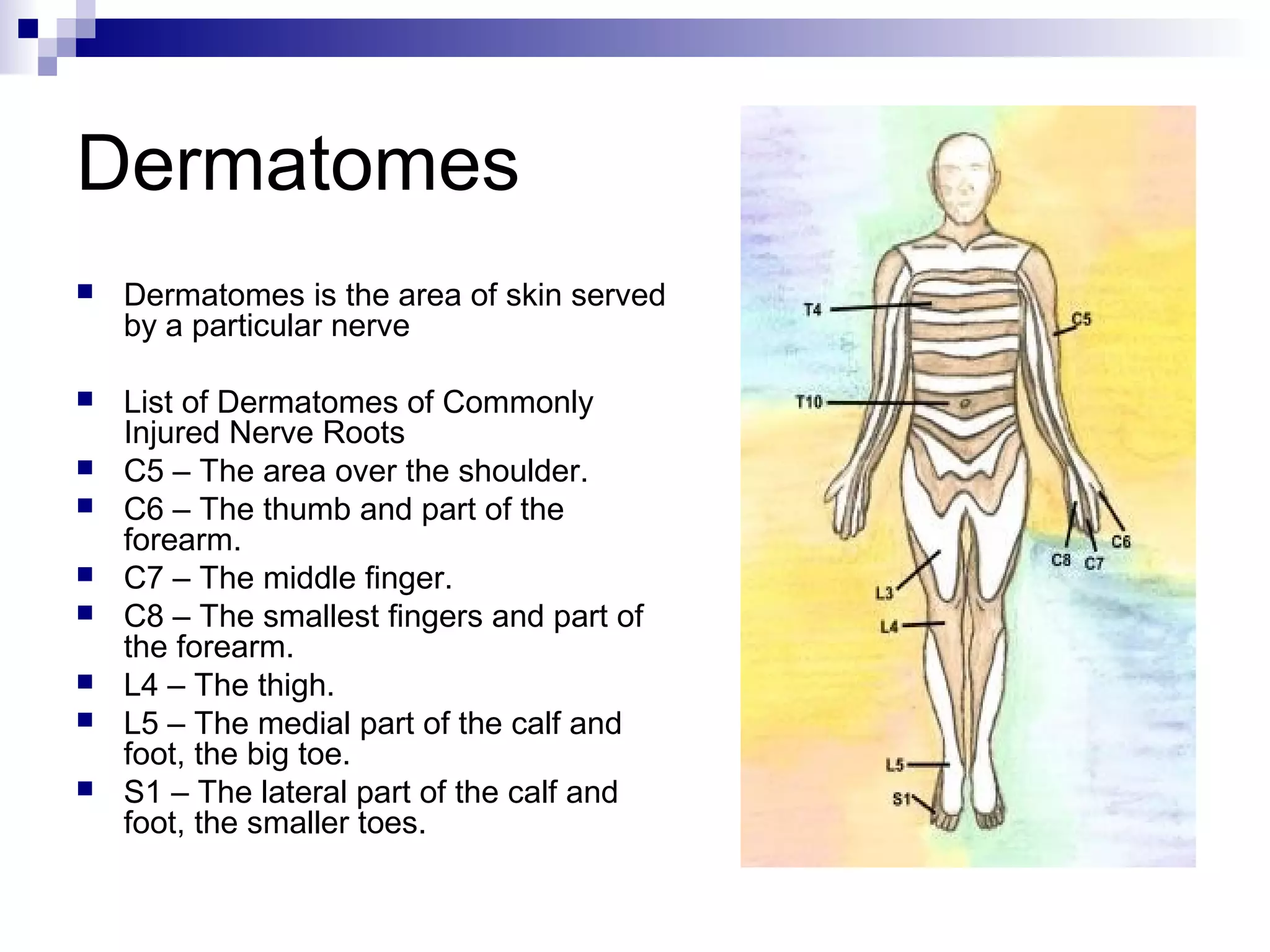 Lavc Health 12 First Aid Muscles Bones Joints Injuries Spring 2007 | PPT