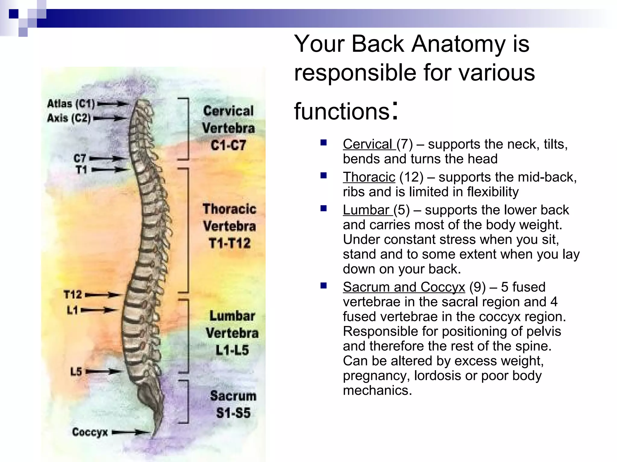 Lavc Health 12 First Aid Muscles Bones Joints Injuries Spring 2007 | PPT