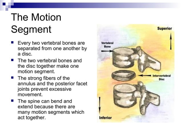Lavc Health 12 First Aid Muscles Bones Joints Injuries Spring 2007 | PPT