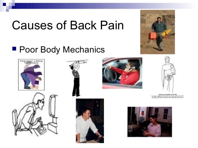 Lavc Health 12 First Aid Muscles Bones Joints Injuries Spring 2007