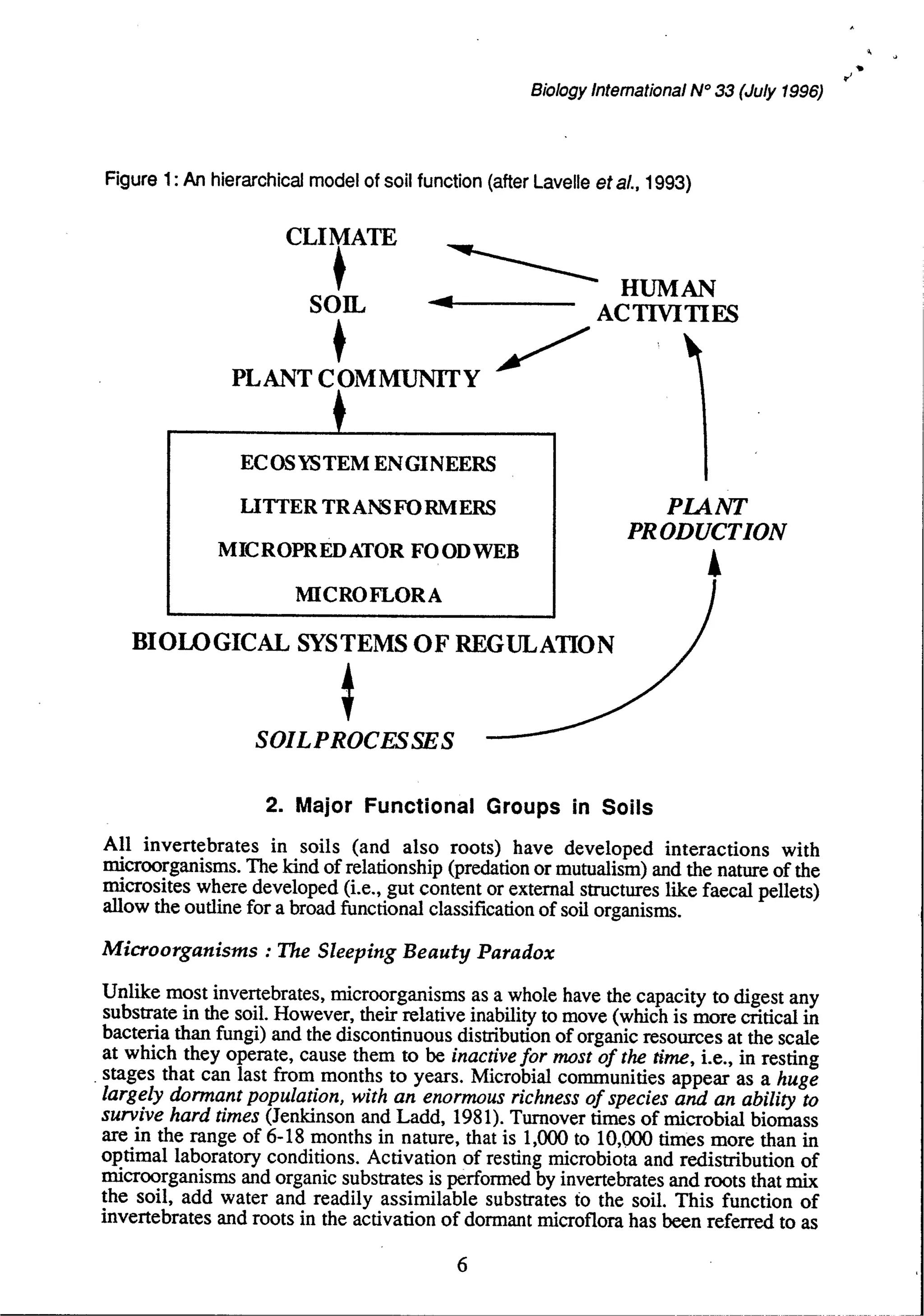 Diversity of Soil Fauna and Ecosystem Function | PDF