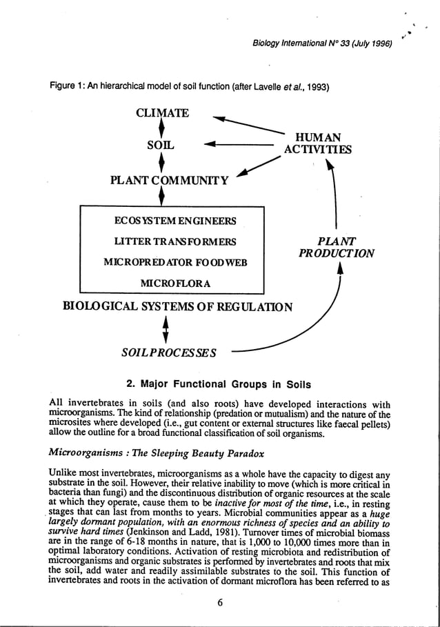 Diversity of Soil Fauna and Ecosystem Function | PDF