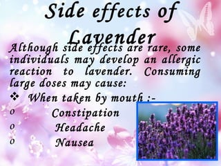 Lavender | PPT