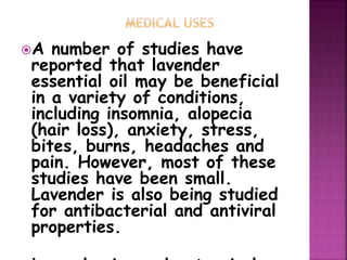 Lavender and its Uses | PPTX