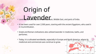 Presentation on Lavender, Plant biochemistry | PPT