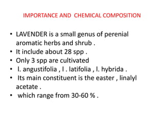 Lavender spp | PPTX