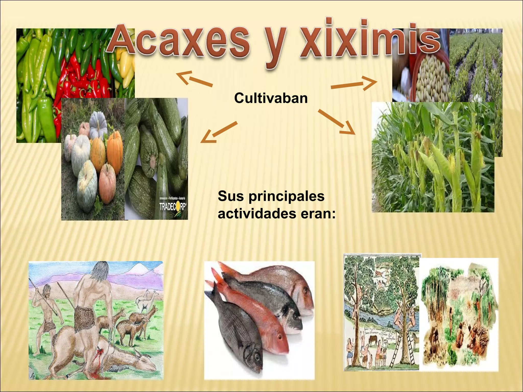 La vida cotidiana de los primeros pobladores de | PPT