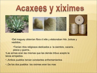 La vida cotidiana de los primeros pobladores de | PPT