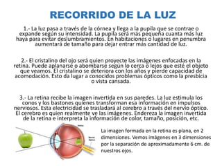 La Visión: Anatomo-Fisiología (Teoría de la Imagen) | PPTX