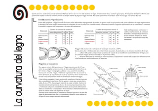 Thonet's Nr 14 - La sedia Nr 14 | PDF