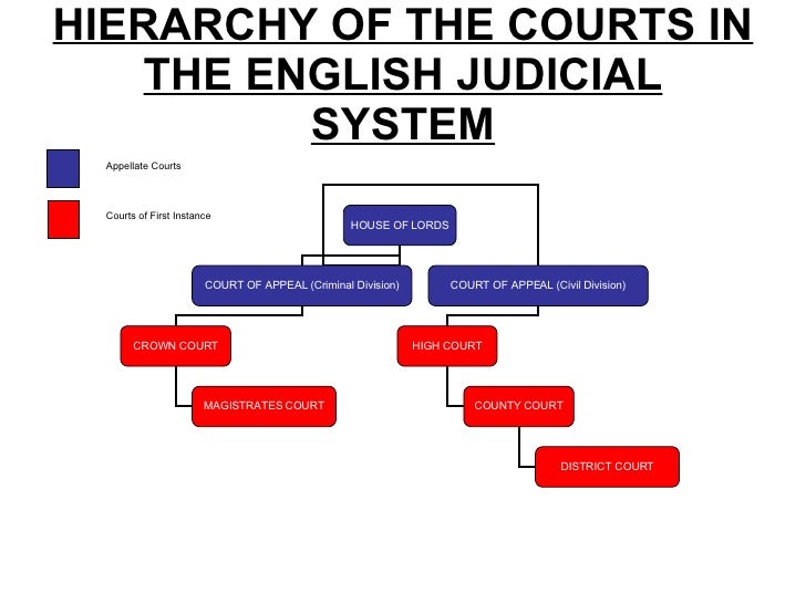 Law 1 Revision law-1-revision