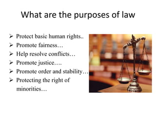 Importance Of Law Presentation | PPTX