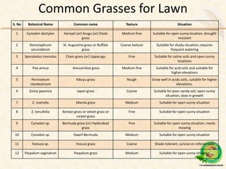 Lawn management | PPTX