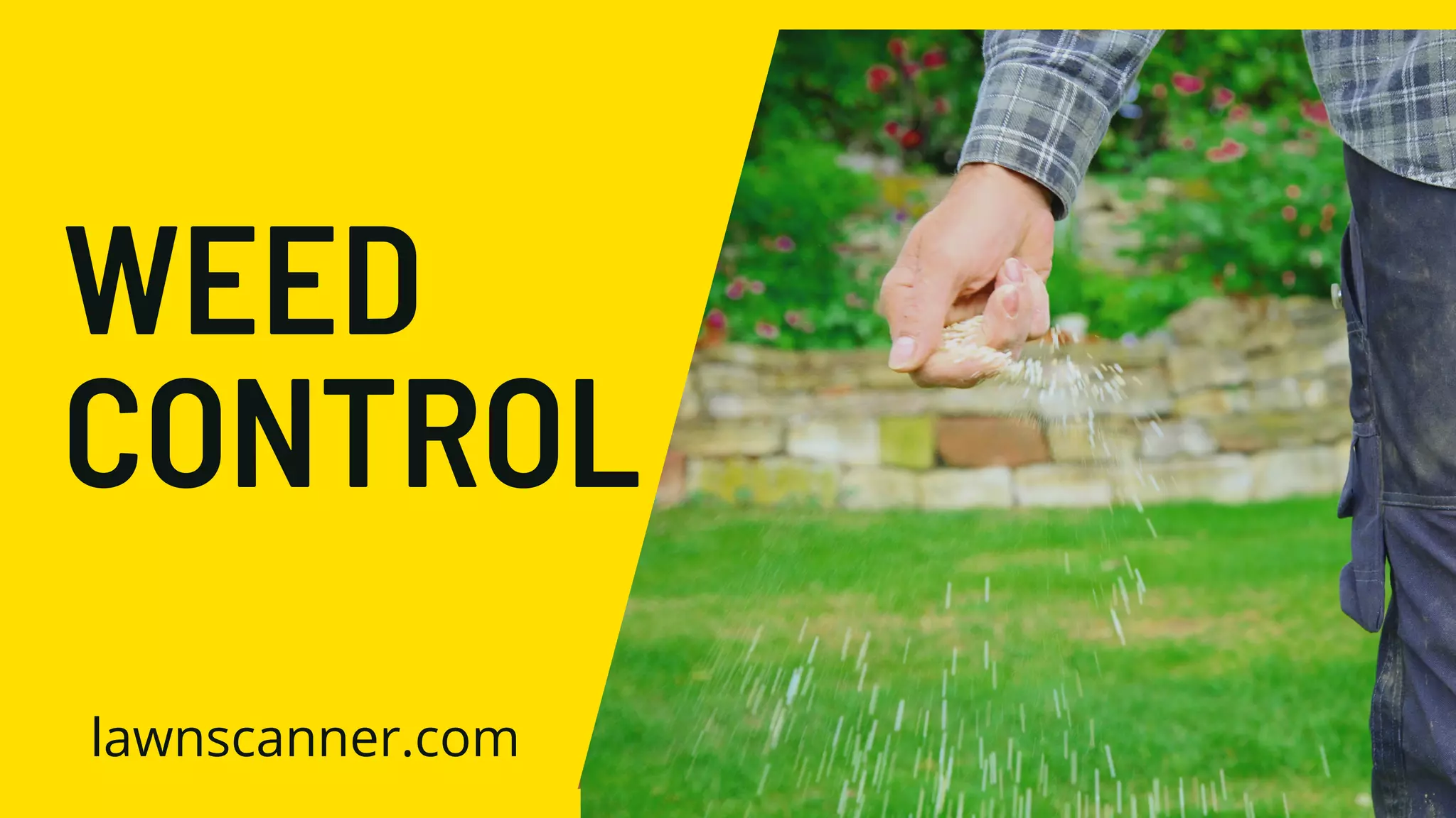 A complete weed control guide | PPT