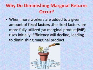 Law of diminishing marginal returns chalapathi v (2) | PPTX