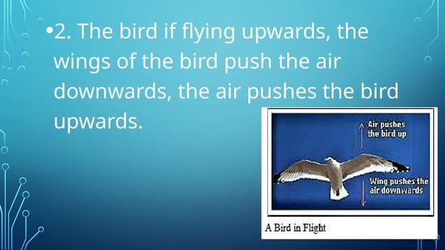 LAW OF INTERACTION.pptx third law of motion by Isaac Newton | PPTX ...