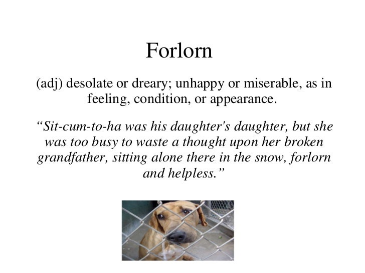 "The Law of Life" vocabulary