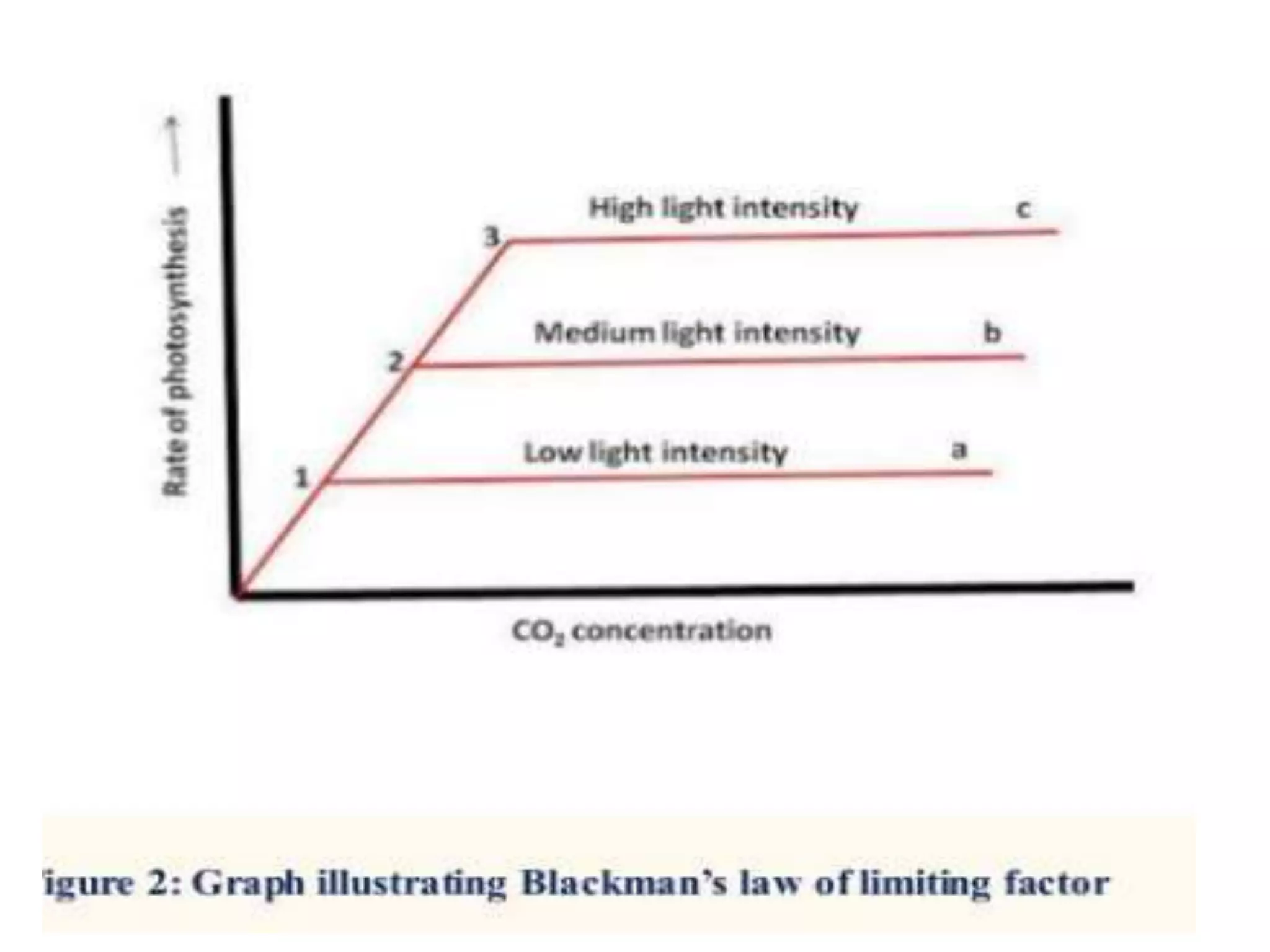 Law of limiting factors | PPTX
