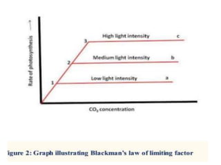 Law of limiting factors | PPTX