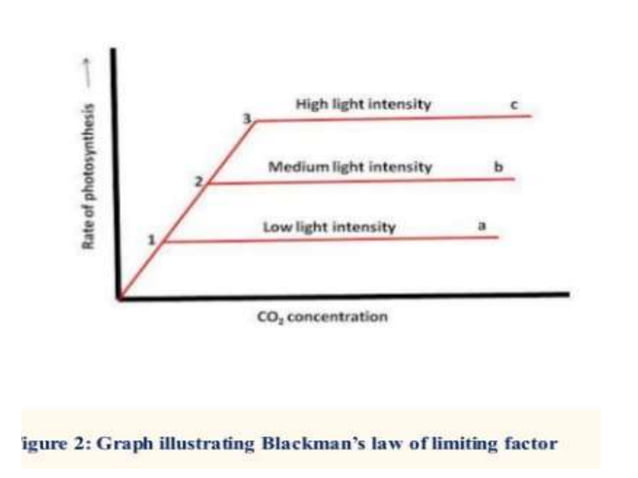 Law of limiting factors | PPTX