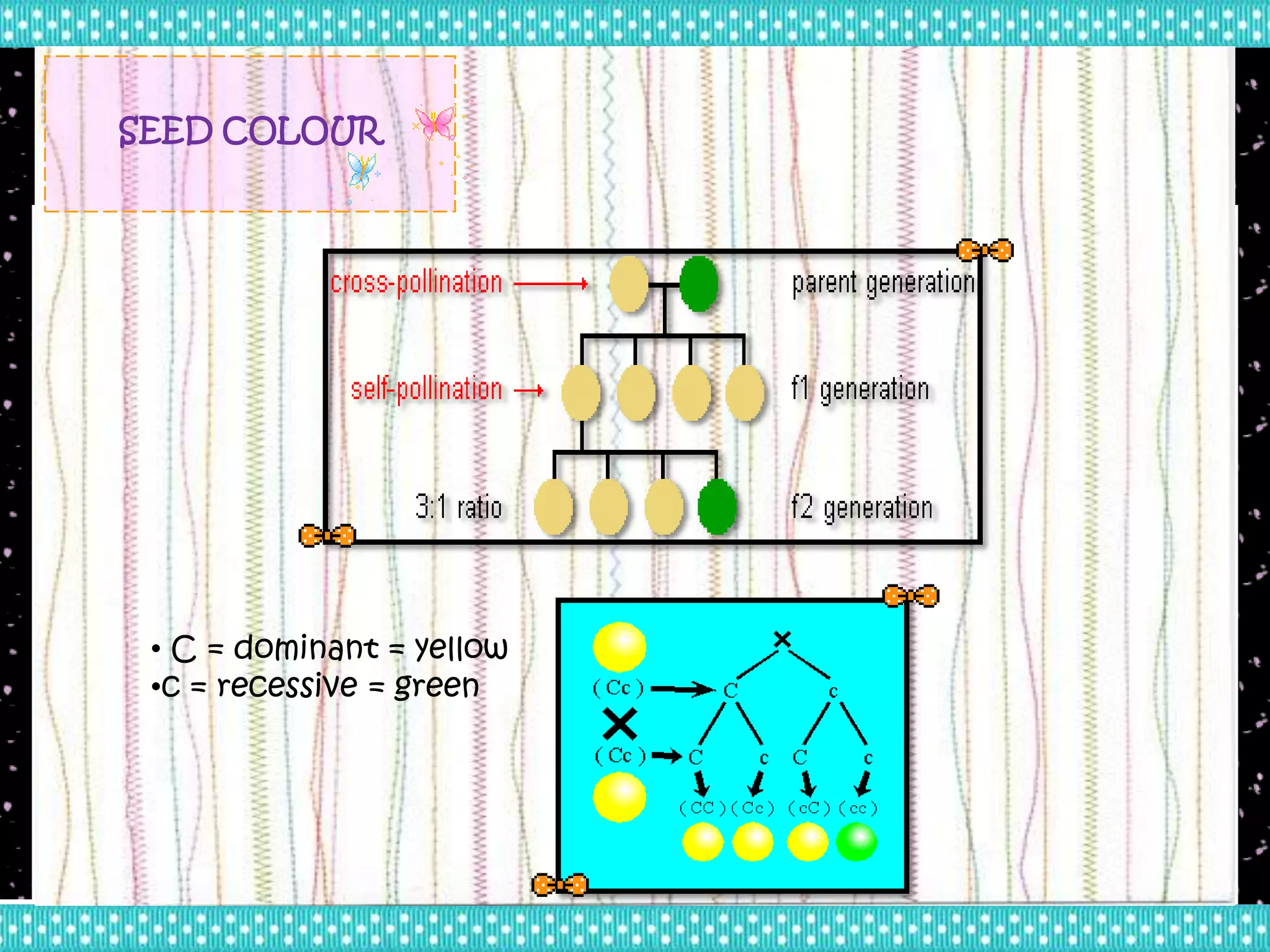 Law of segregation | PPTX