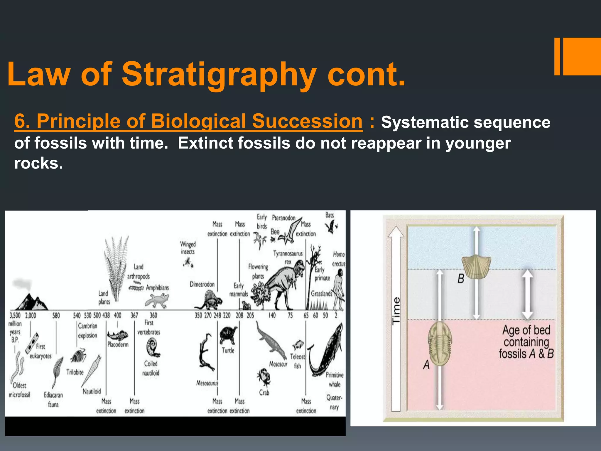 Principles of Stratigraphy | PPTX