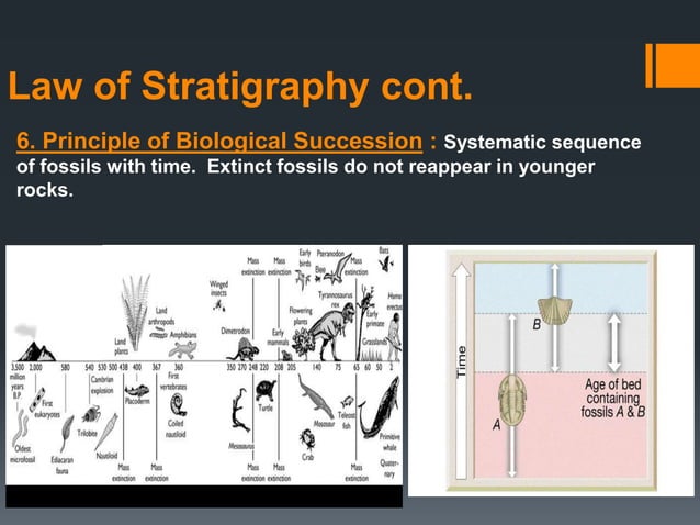 Principles of Stratigraphy | PPT | Free Download