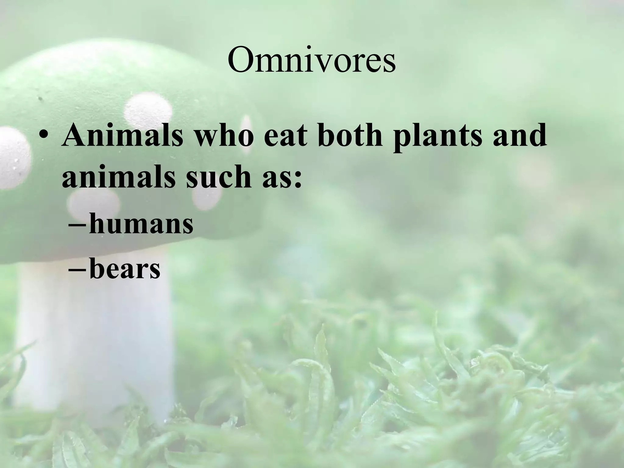 Law of thermodynamics or food chain JNVU | PPTX