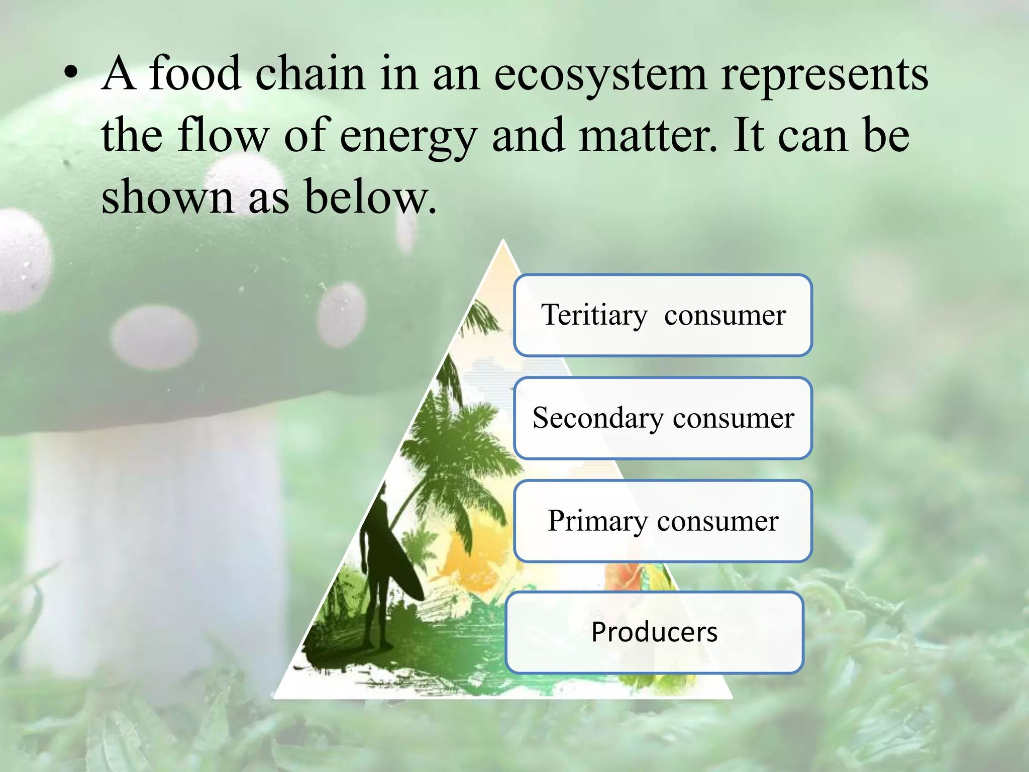 Law of thermodynamics or food chain JNVU | PPTX