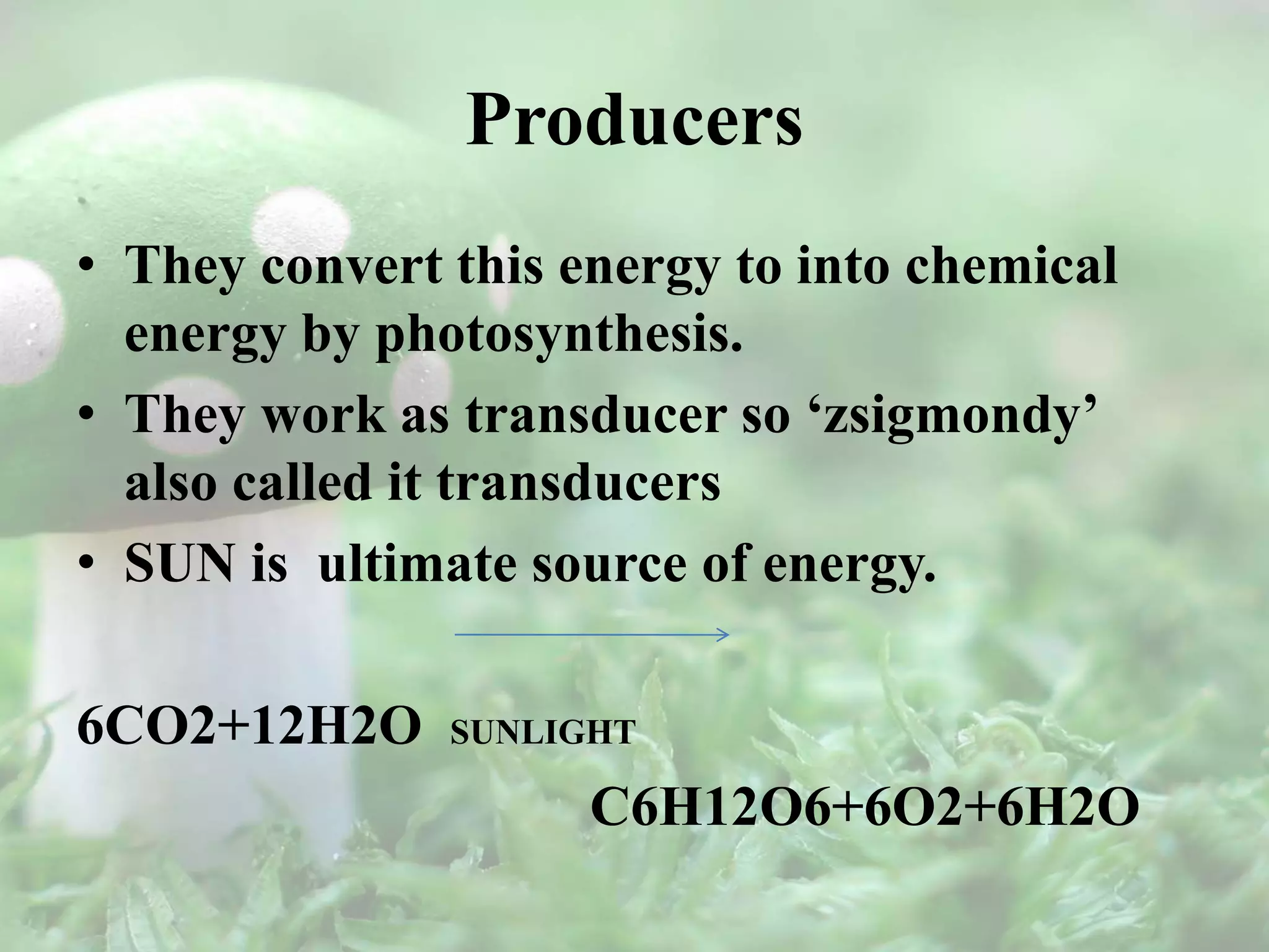 Law of thermodynamics or food chain JNVU | PPTX