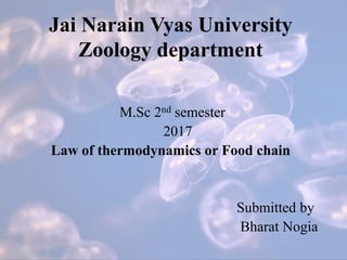 Law of thermodynamics or food chain JNVU | PPTX