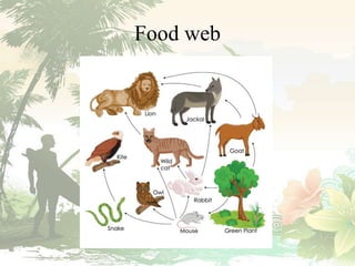 Law of thermodynamics or food chain JNVU | PPTX