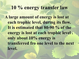 Law of thermodynamics or food chain JNVU | PPTX