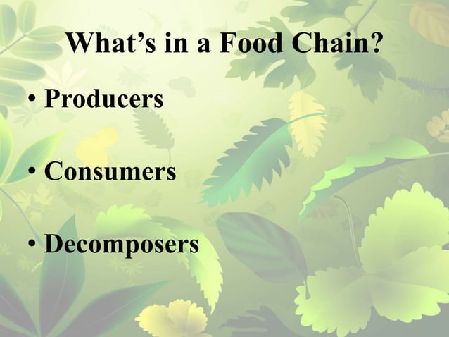 Law of thermodynamics or food chain JNVU | PPT