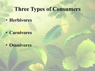 Law of thermodynamics or food chain JNVU | PPTX