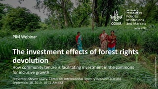 The investment effects of forest rights devolution: How community ...