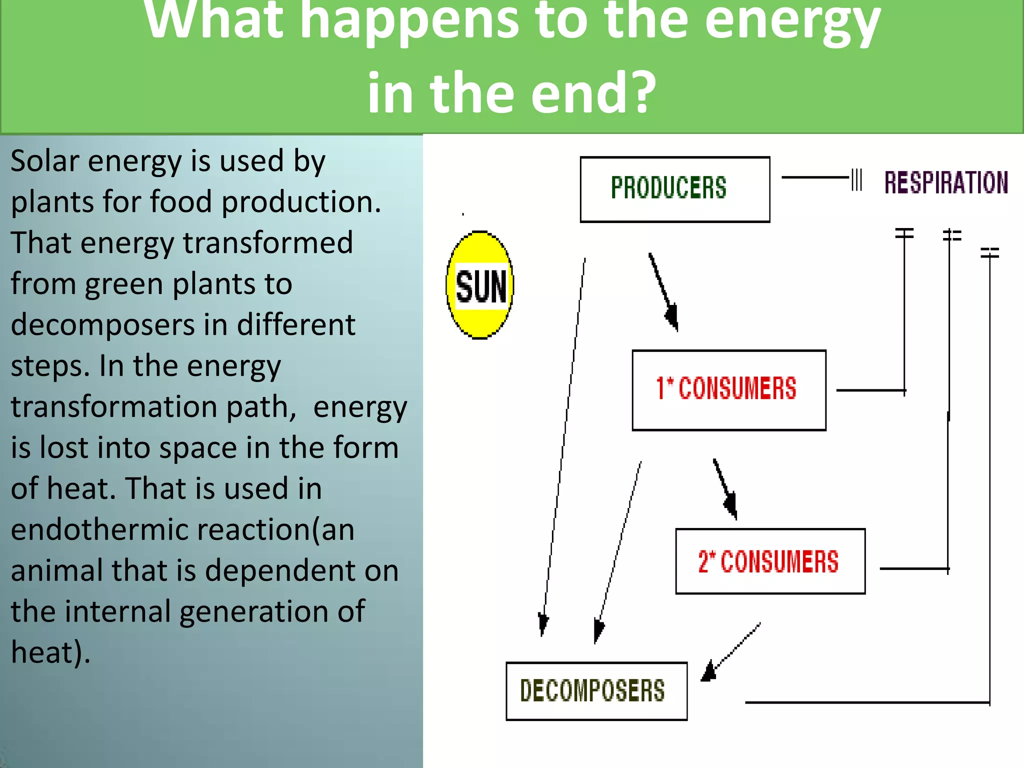 Laws of Thermodynamics in an Ecosystem | PDF