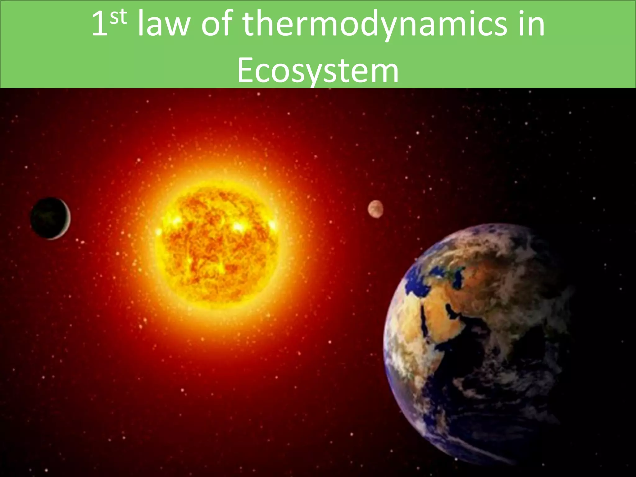 Laws of Thermodynamics in an Ecosystem | PDF